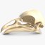 3D bird skull model - TurboSquid 1270476
