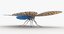 3D model realistic common blue butterfly - TurboSquid 1270992