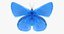 3D model realistic common blue butterfly - TurboSquid 1270992