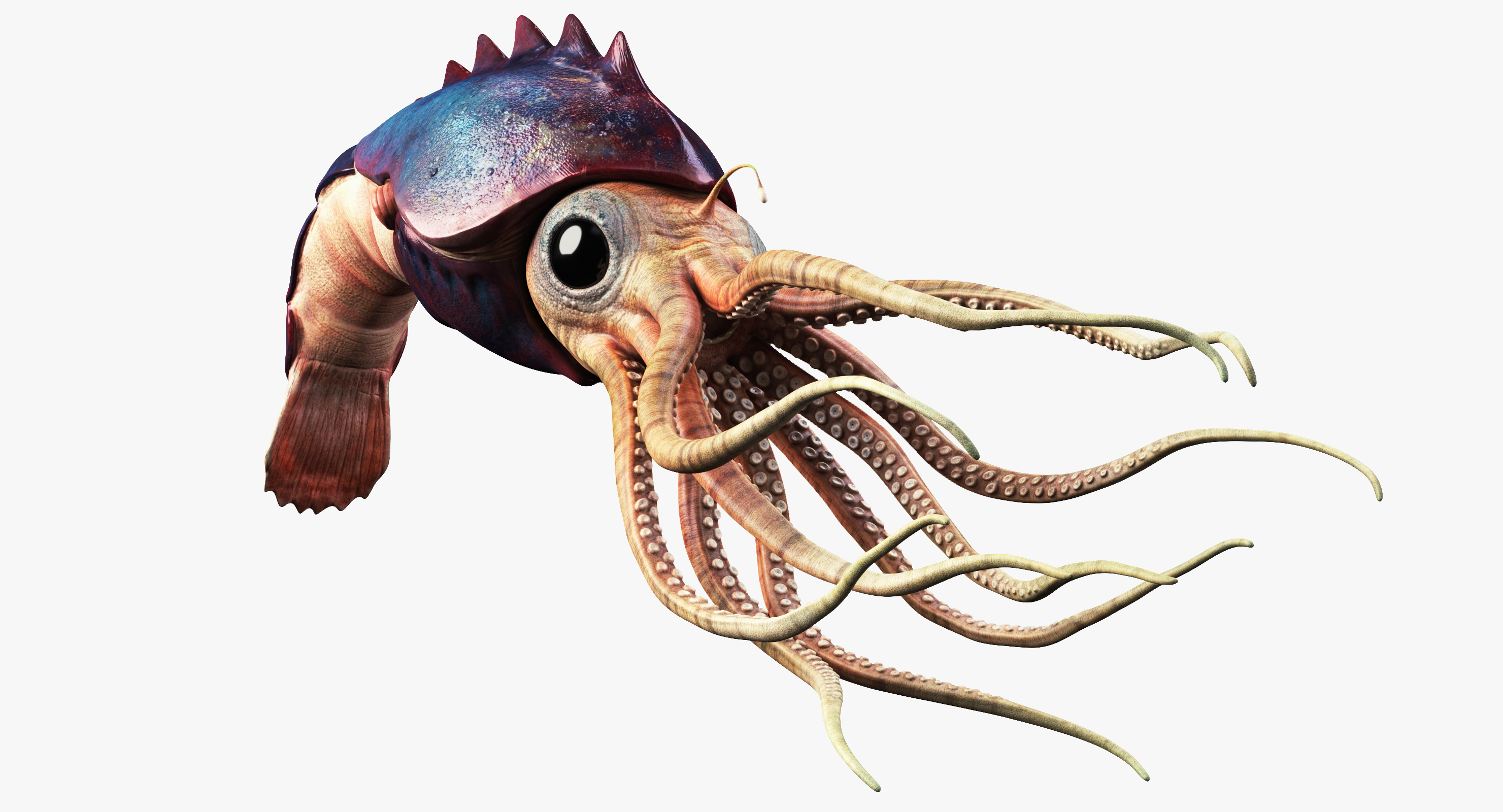 Squid creature model - TurboSquid 1271008