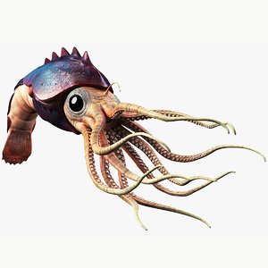3D Squid Models | TurboSquid
