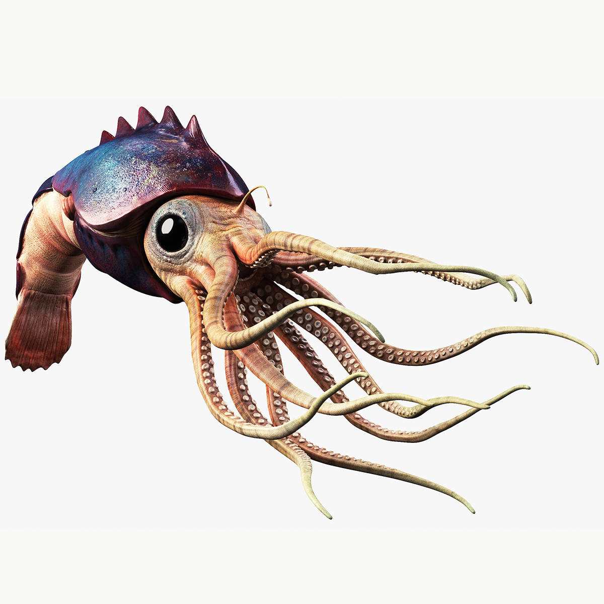 Squid creature model - TurboSquid 1271008