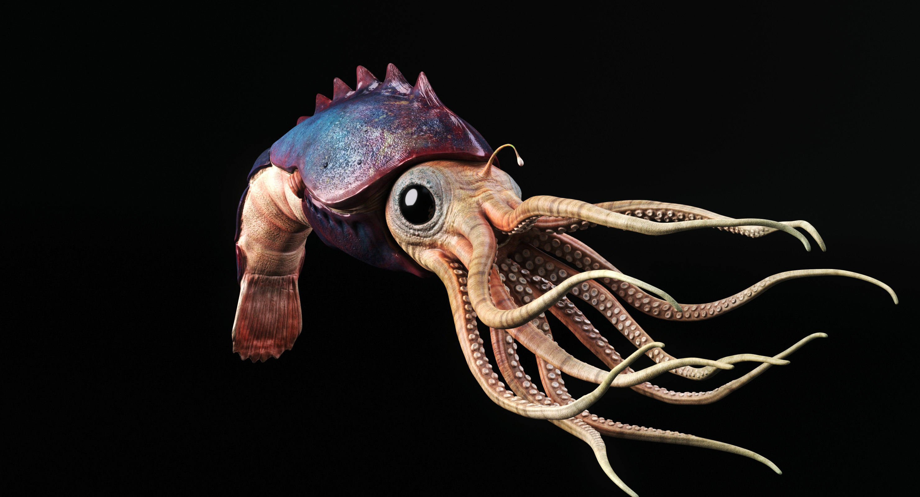 Squid creature model - TurboSquid 1271008