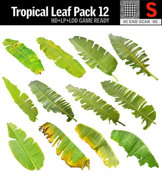 leaf 3d model
