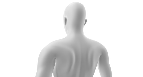 3D model gender neutral rigged human - TurboSquid 1272074