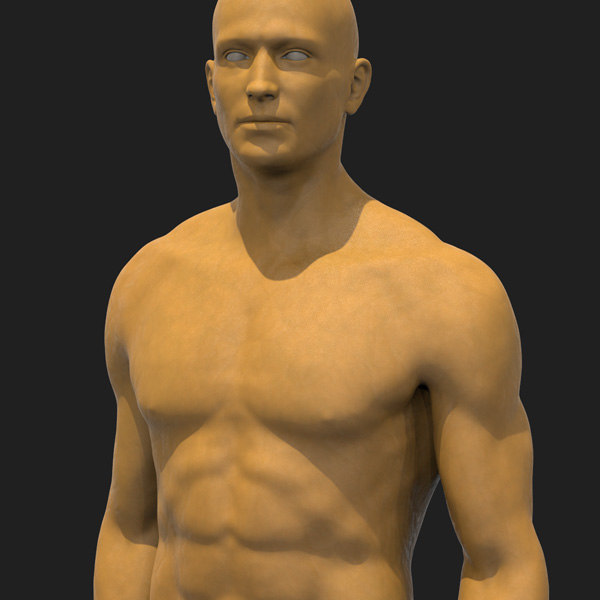 zbrush body 3d max