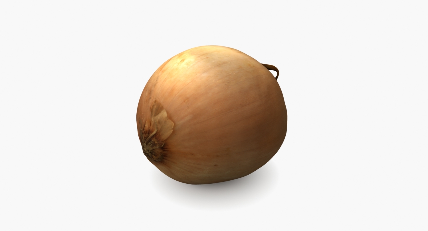 3D model onion - TurboSquid 1273240