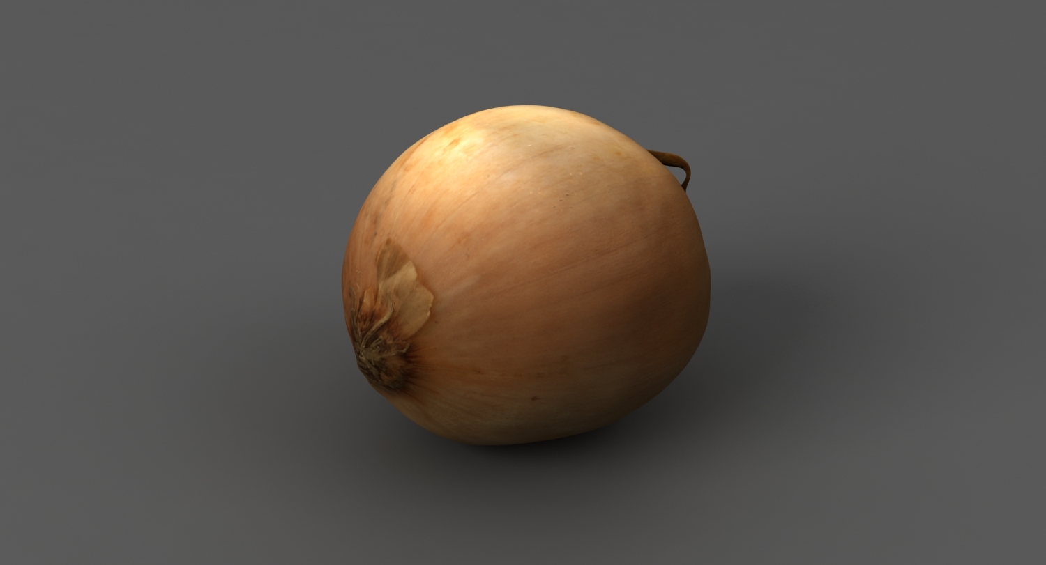 3D model onion - TurboSquid 1273240