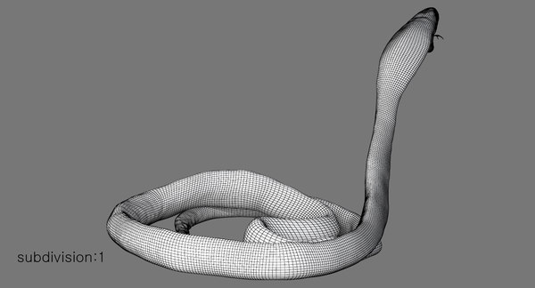 3D snake rig - TurboSquid 1273422