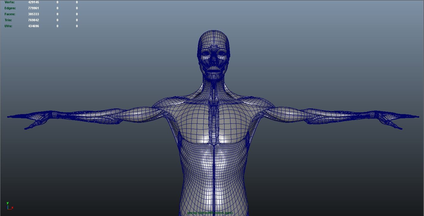 3D muscles body skeleton - TurboSquid 1273523