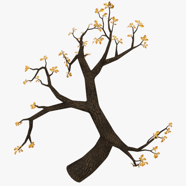 3D oak branch tree model - TurboSquid 1273582
