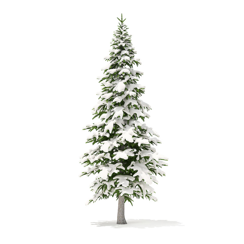 3D model fir tree snow 4 - TurboSquid 1273690