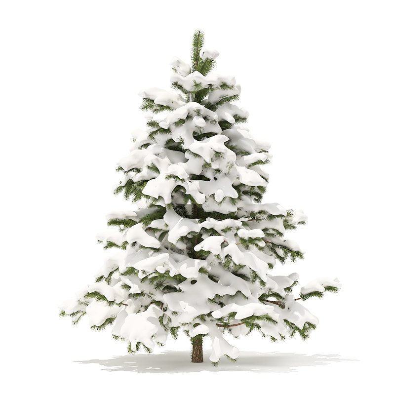 Pine tree snow 2 3D model - TurboSquid 1273718