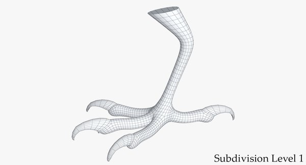 Bird feet 3D model - TurboSquid 1274467