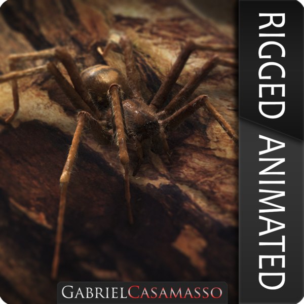 Free 3D Insect Models | TurboSquid