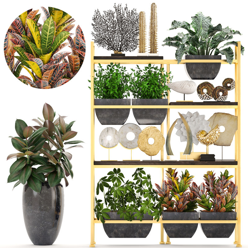 3D shelf decor tropical plants - TurboSquid 1275124