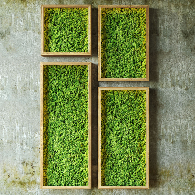 3D moss wall - TurboSquid 1275390