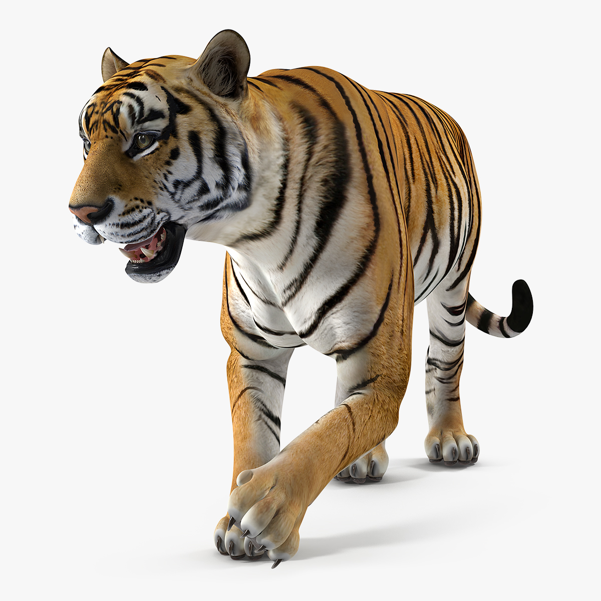 Tiger rigged 3D model - TurboSquid 1275414