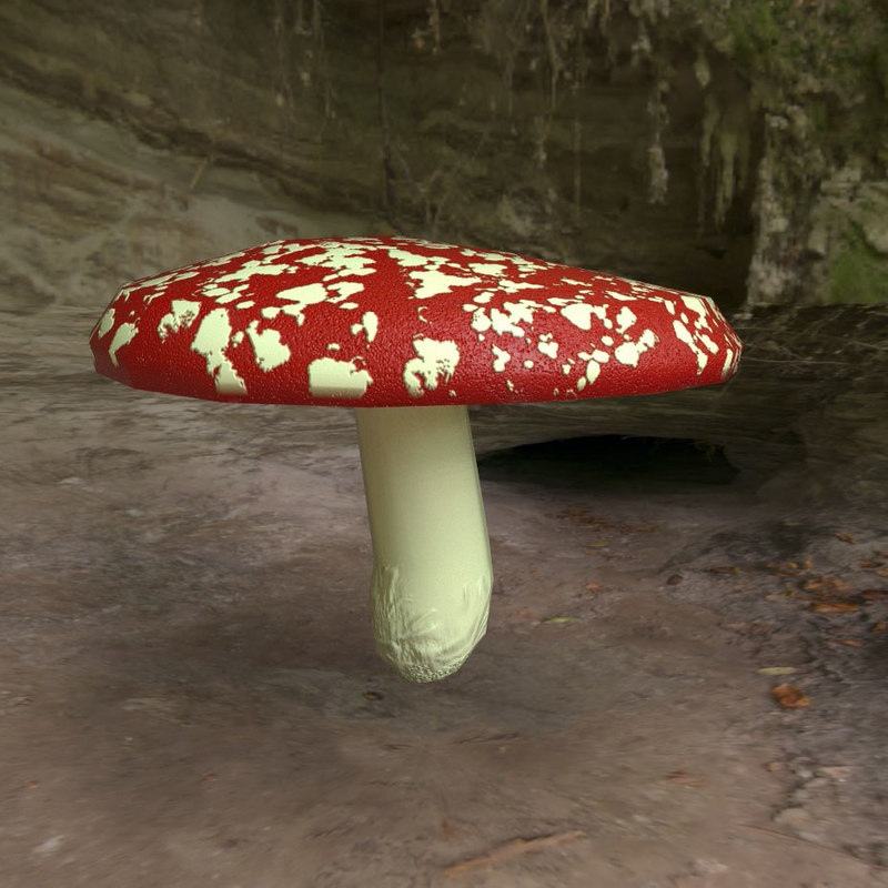 3D model mushroom - TurboSquid 1275799