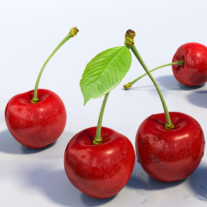 Cherry 3D Models for Download | TurboSquid