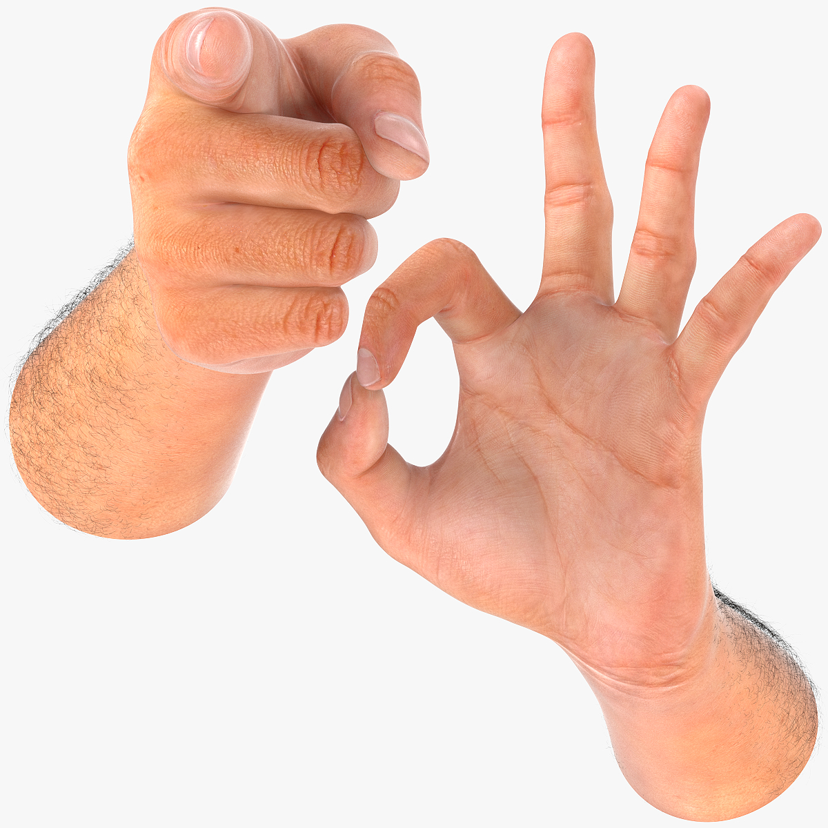 3D model hands rig - TurboSquid 1276528