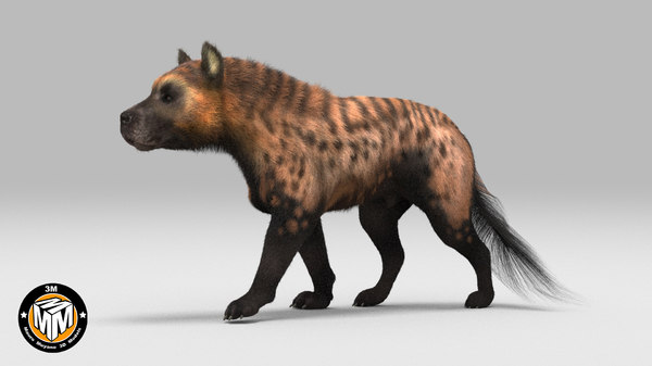 Protocyon Modelo 3D - TurboSquid 1277365