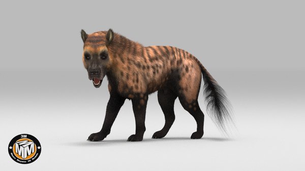 3D protocyon extinct canid - TurboSquid 1277365