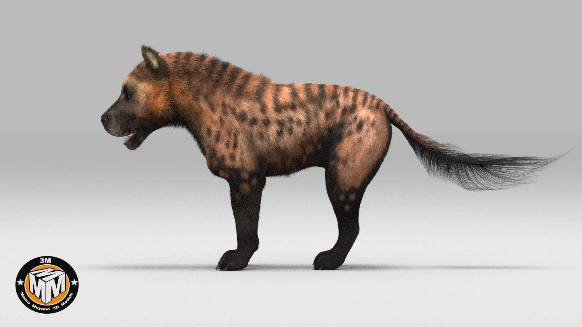 3D protocyon extinct canid - TurboSquid 1277365