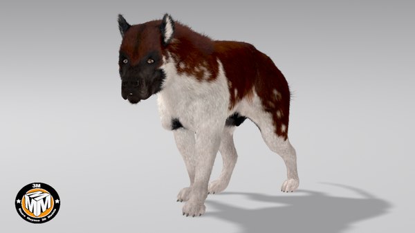 3D protocyon extinct canid - TurboSquid 1277365