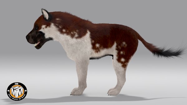 Protocyon 3D-Modell - TurboSquid 1277365