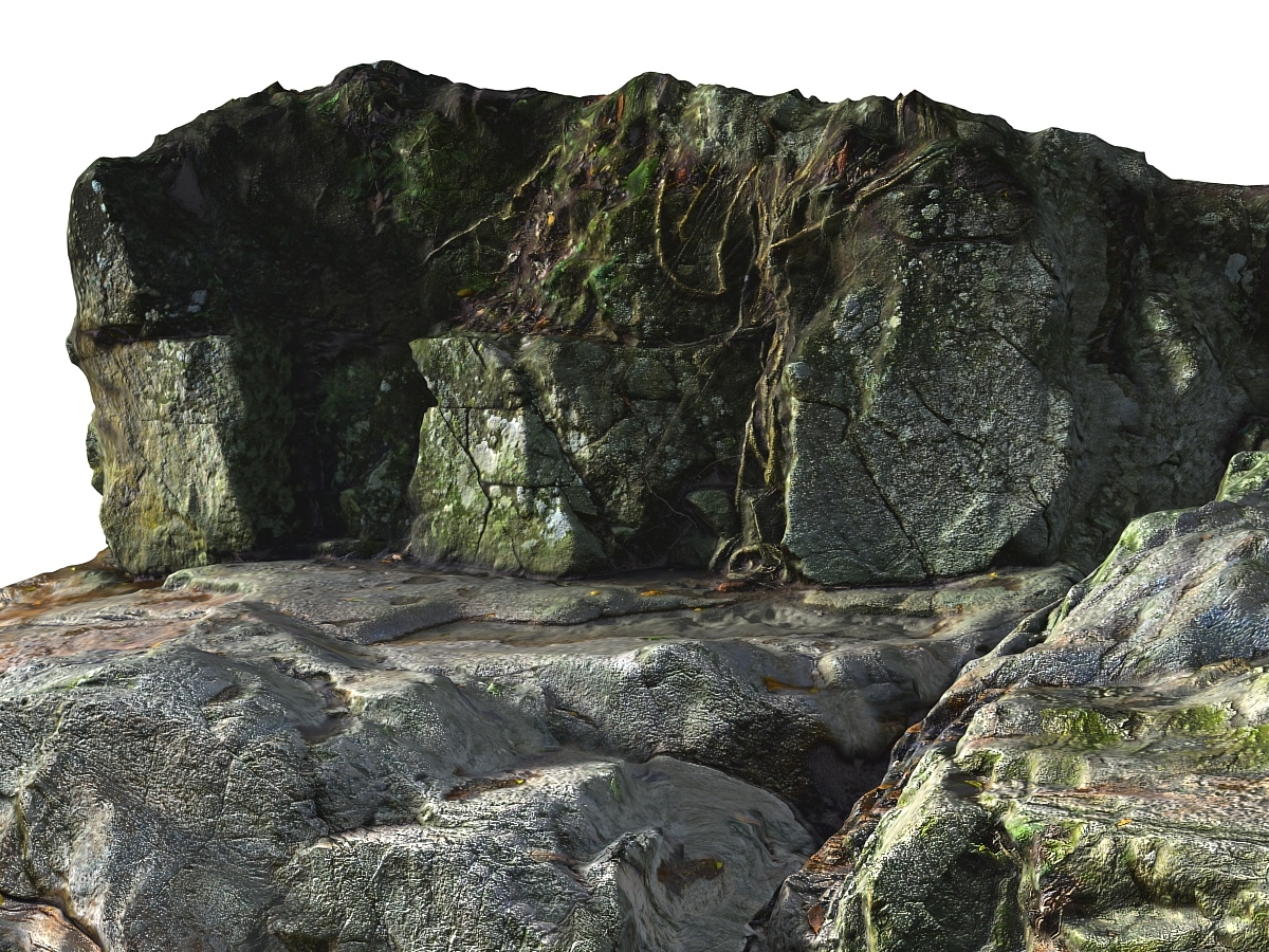 3D jungle rock ground 16k - TurboSquid 1277642