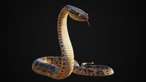 3D model realistic snake - TurboSquid 1277884