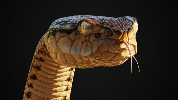 3D model realistic snake - TurboSquid 1277884