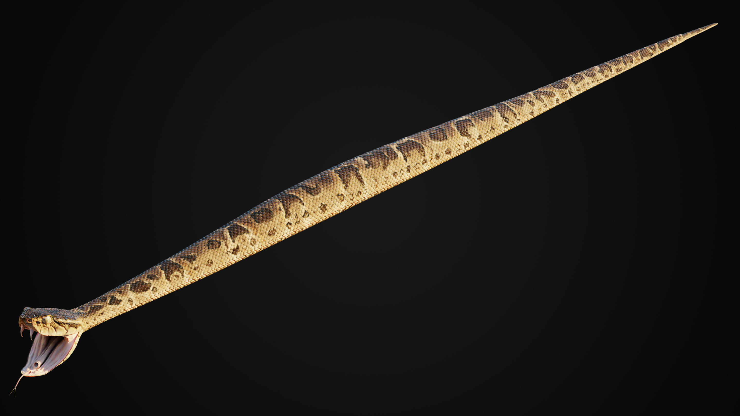 3D model realistic snake - TurboSquid 1277884