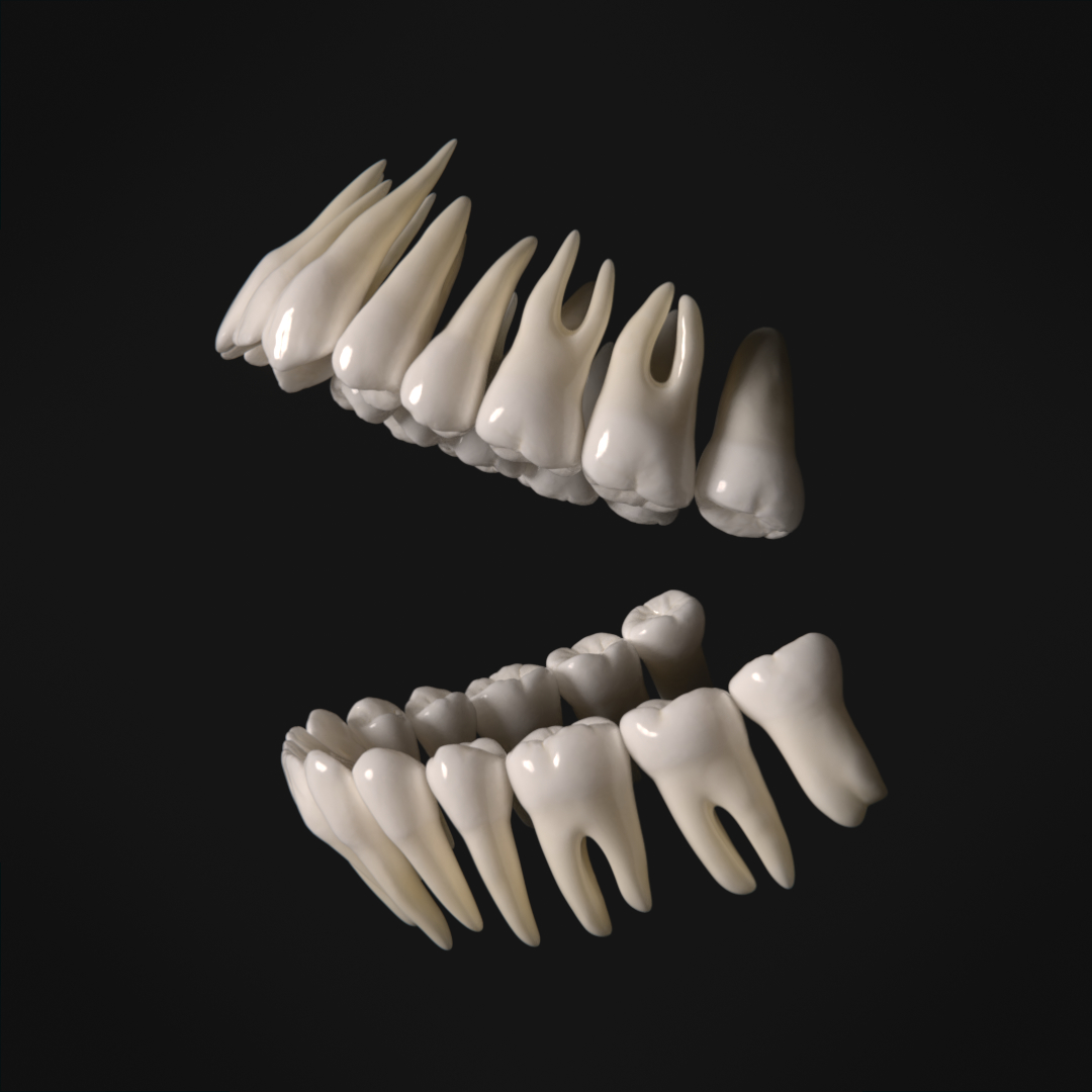 modelo 3d Boca humana fotorrealista - TurboSquid 1278134