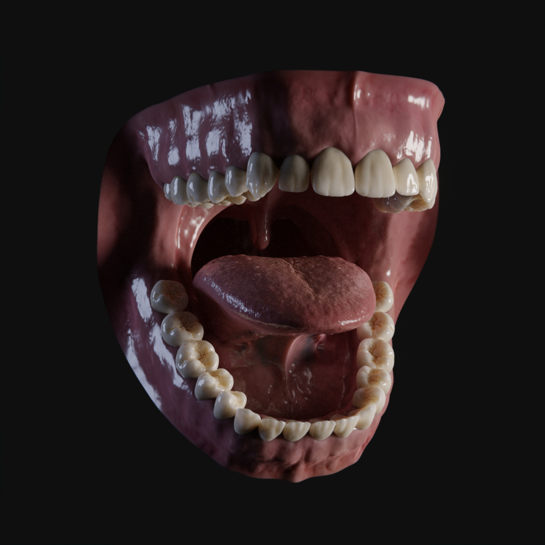 3D human mouth teeth model - TurboSquid 1278134