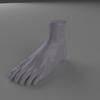 Foot 3D Models for Download | TurboSquid