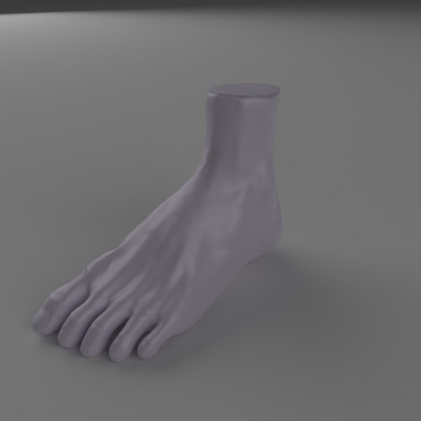 Blender Feet Models | TurboSquid