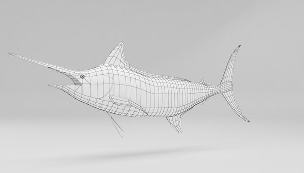 Black marlin fish 3D model - TurboSquid 1279365