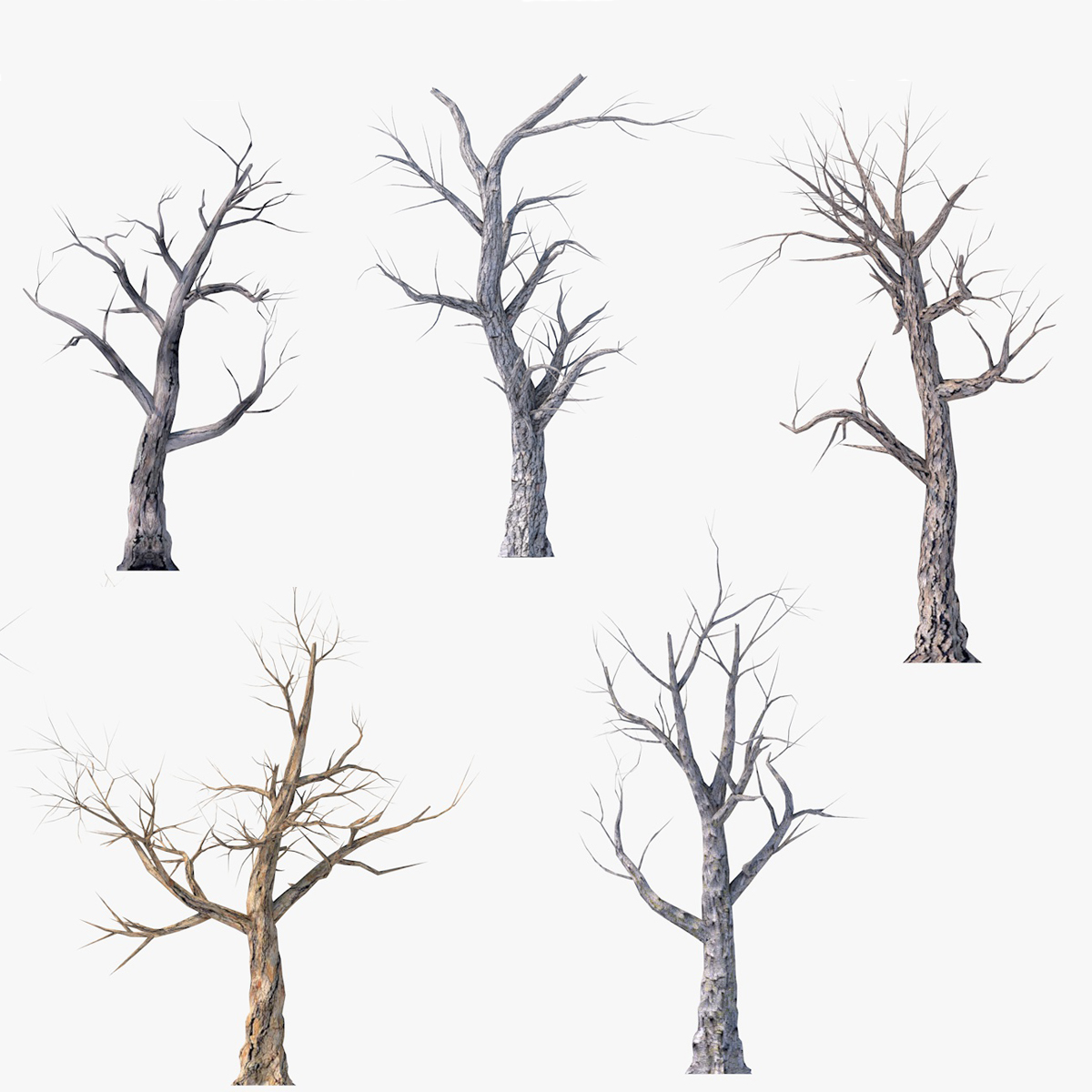 Pack dead tree 3D model - TurboSquid 1280748