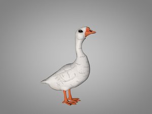 Goose 3D Models for Download | TurboSquid