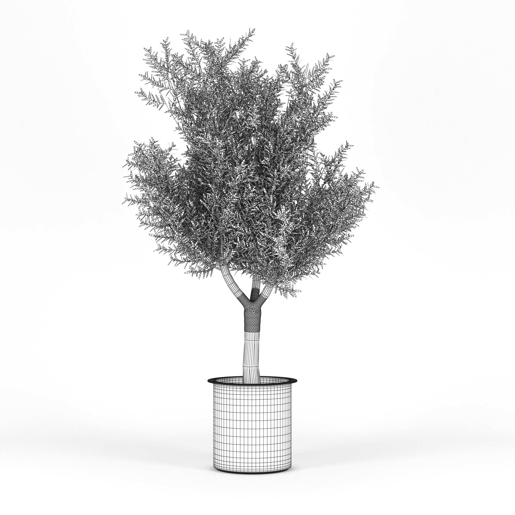 3D olive tree model - TurboSquid 1281894