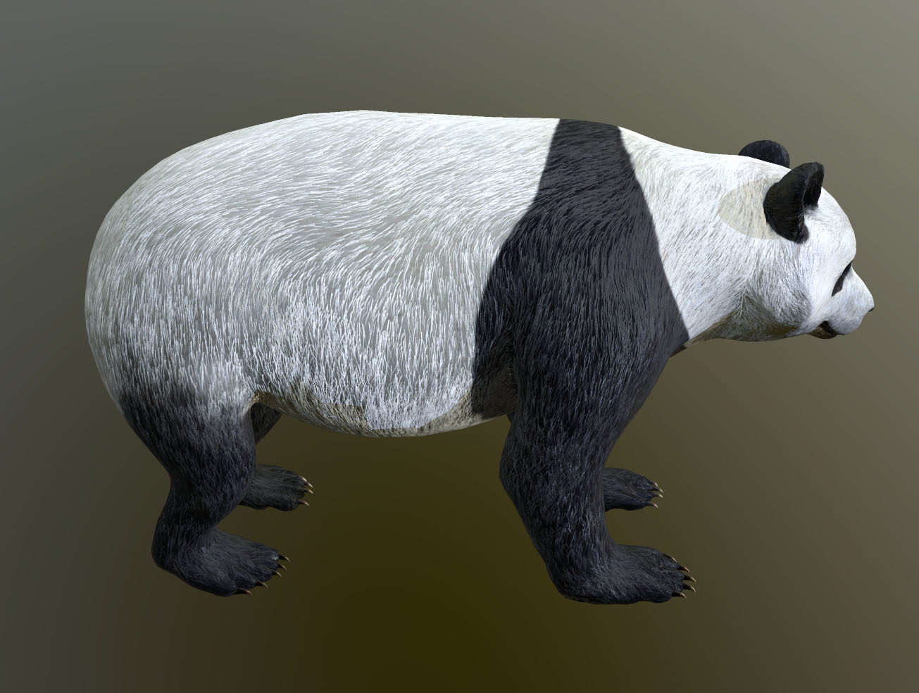 3D model panda bear animations - TurboSquid 1281958