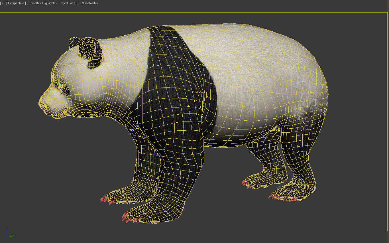 3D model panda bear animations - TurboSquid 1281958