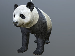3D Panda Models | TurboSquid