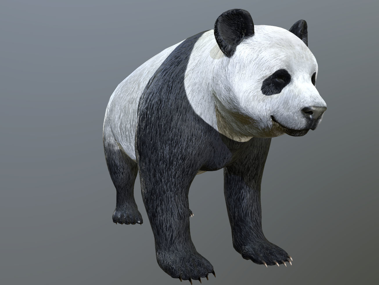 3D model panda bear animations - TurboSquid 1281958