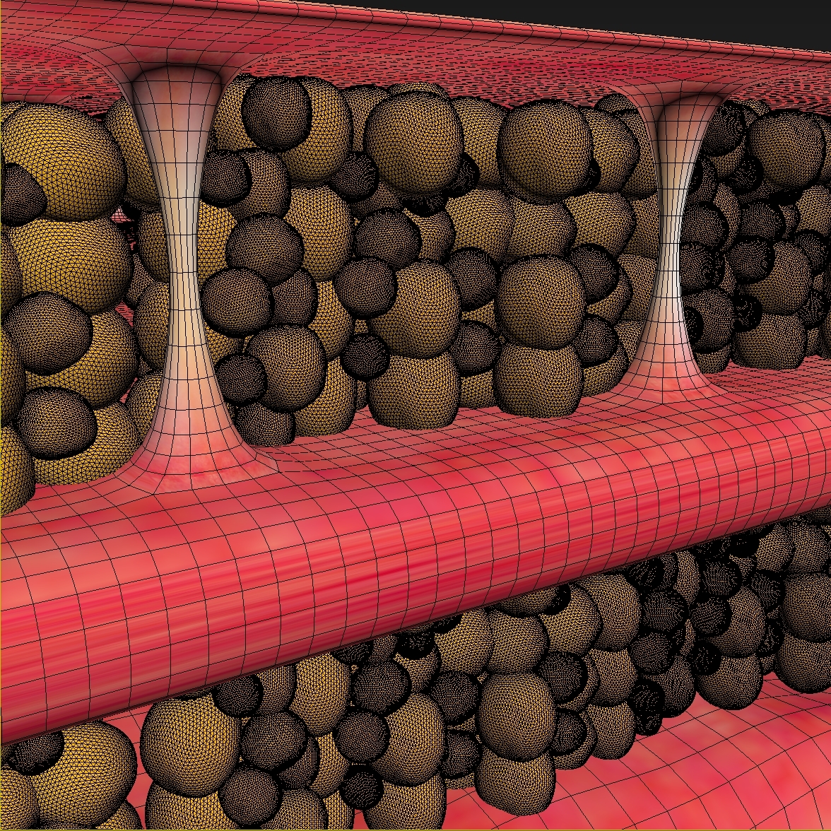 Cellulite 3D model - TurboSquid 1281972