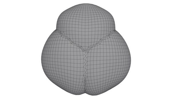 3D tnf alpha t cell - TurboSquid 1282437