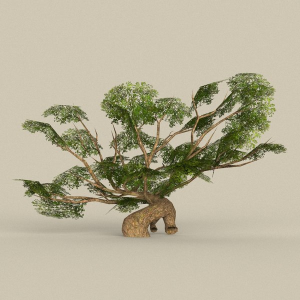 Oak Tree Maya Models for Download | TurboSquid