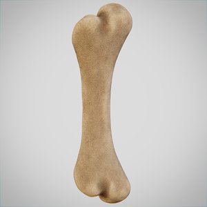 Bone STL Models for Download | TurboSquid